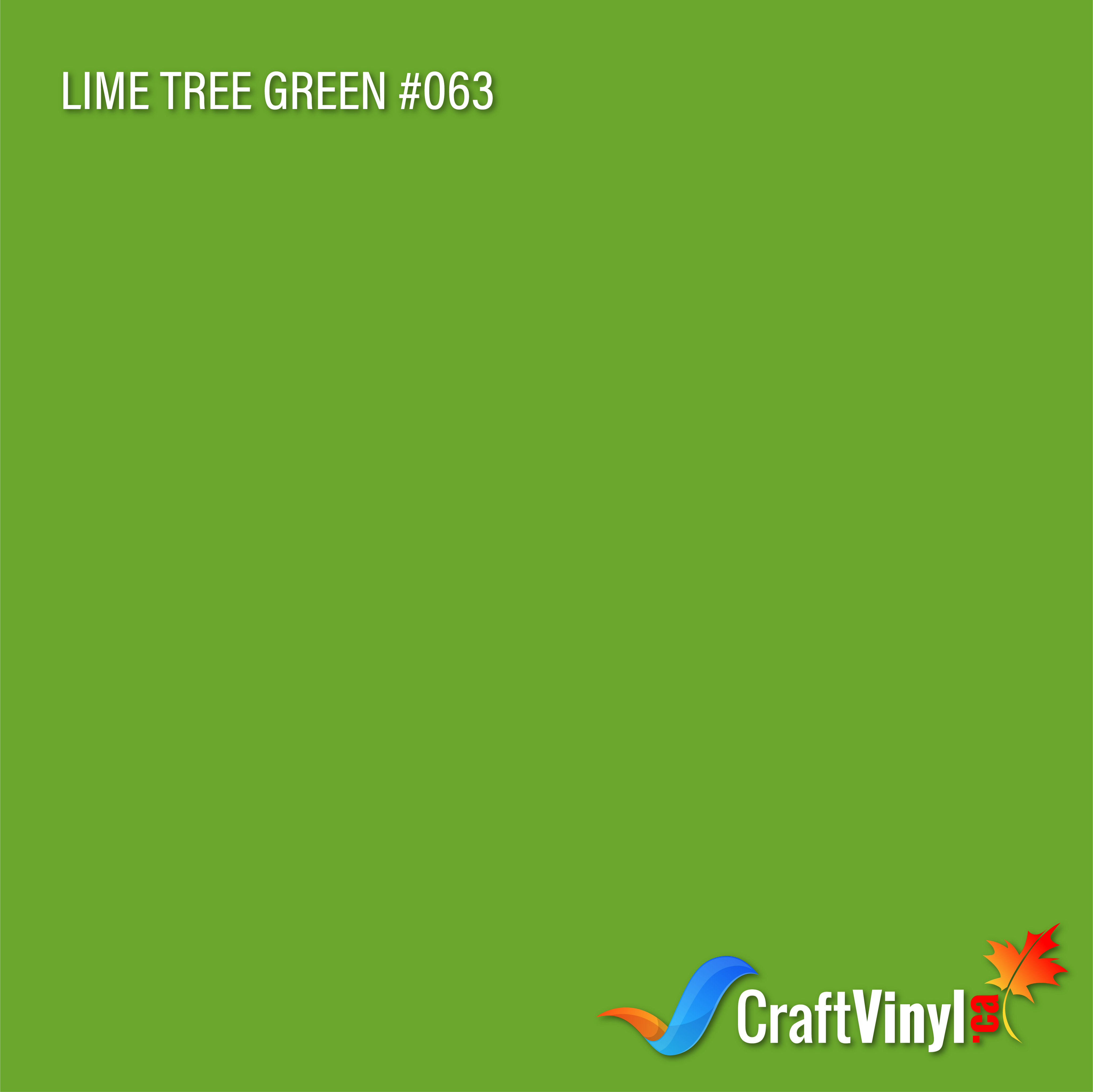 Oracal 651 Gloss Permanent Adhesive Lime Tree Green Vinyl #063 - Craft ...