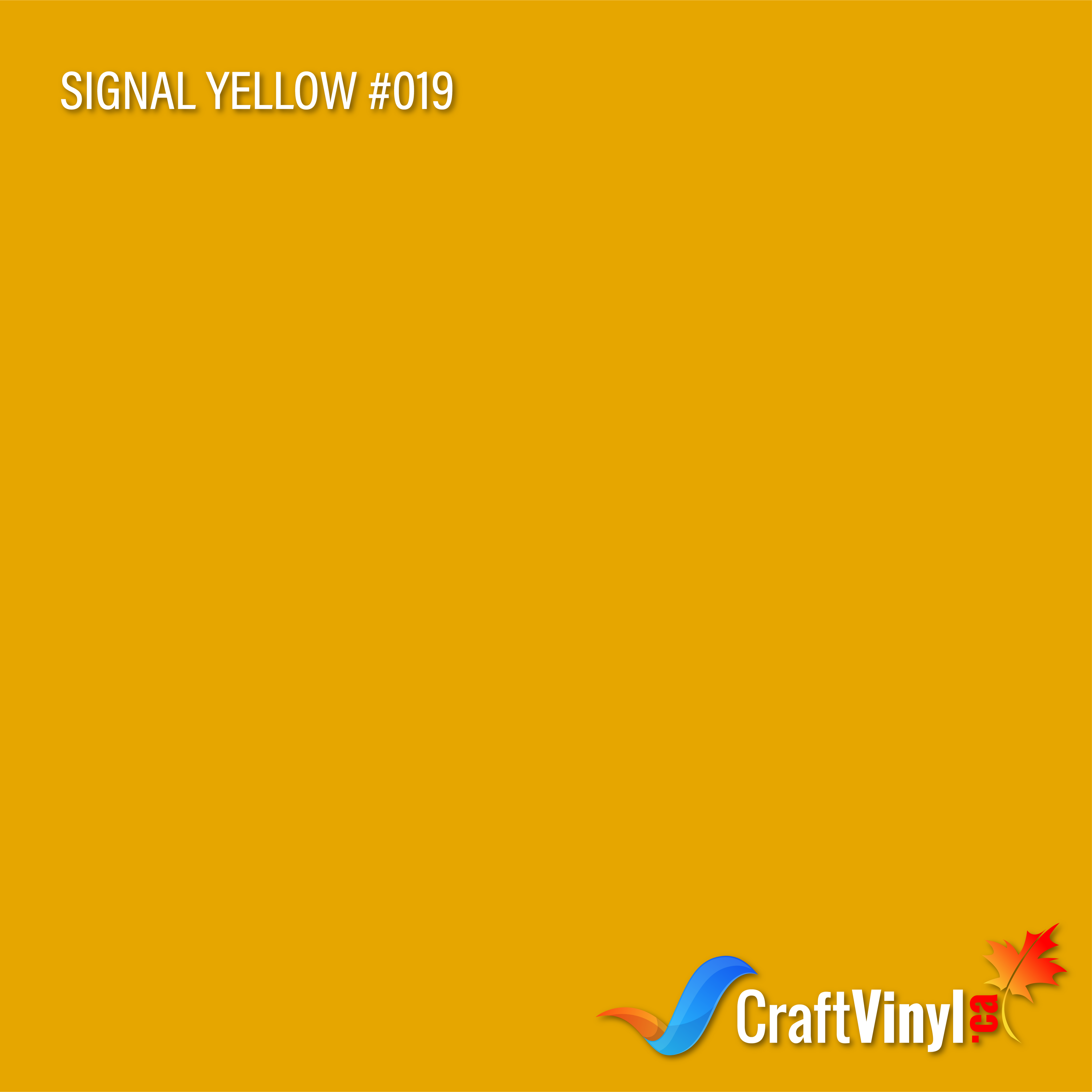 Oracal 651 Gloss Permanent Adhesive Signal Yellow Vinyl #019 - Craft Vinyl